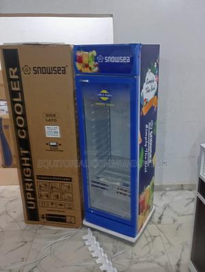 Snowsea Transparent Glass Single Door Chiller Lc-300w in Ipaja ...