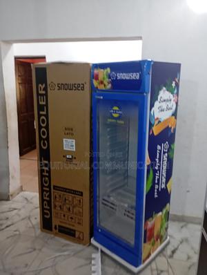 Chill in Style Snowsea Single Door Display Chiller Lc-300w in Mushin ...