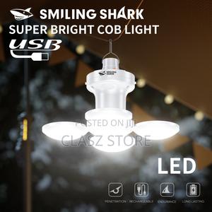 Foldable Solar Light in Lagos Island (Eko) - Solar Energy, Clara Obi ...