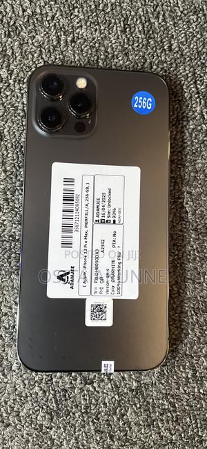 Apple iPhone 12 Pro Max 256 GB Gray in Ojo - Mobile Phones, Osita ...
