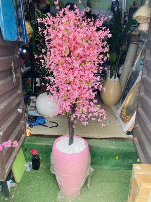 Pearl Blossom Tree and Rotunda Pot Combo in Yaba - Garden Supplies ...