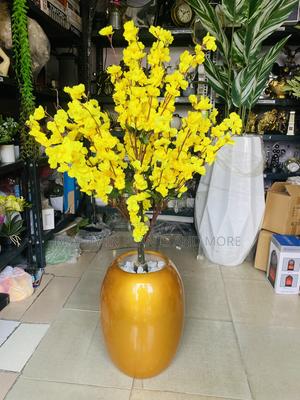 Cherryblossom and Mini Egg Pot Combo in Yaba - Garden Supplies, Beauty ...