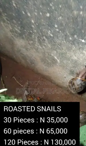 Get Your Premium Snails From Pikasso Farms in Apo District - Food ...