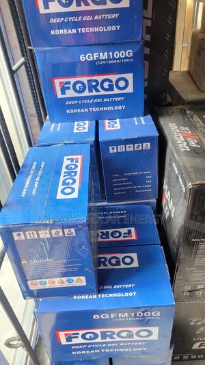 100ah 12v Forgo Dry Cell Deep Cycle Battery in Epe - Solar Energy ...