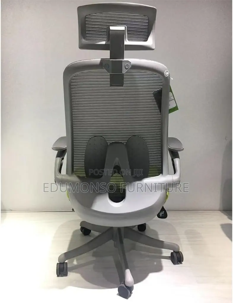 Comfort Office Seat Ergonomic Study Chair Backrest - Edumonso Furniture ...