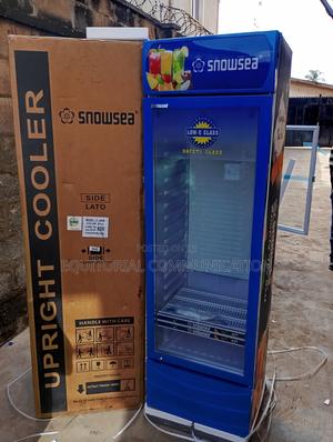 Reliable, Robust, Ready – Snowsea Lc-400w Chiller in Lagos Island (Eko ...