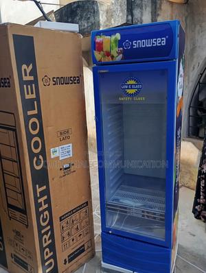 Snowsea Lc-400w Dual Temperature Control Freezer in Tarkwa Bay Island ...