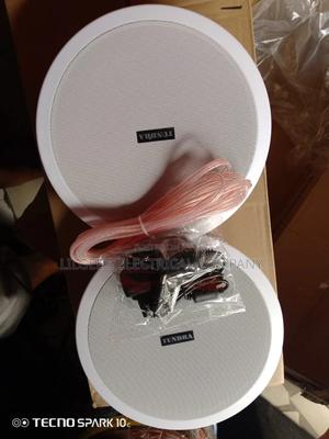 Original 2 in 1 Tundra Bluetooth Enabled Ceiling Speakers in Lagos ...