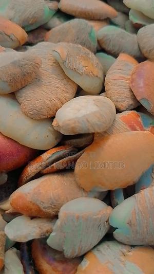 Ikom Ogbono Seeds -- Highest Draw Ratio in Enugu - Food & Beverages ...