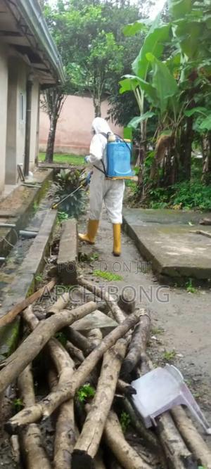 Long Lasting and Sustainable Fumigation Services, in Calabar - Cleaning Services, Archibong Edem ...