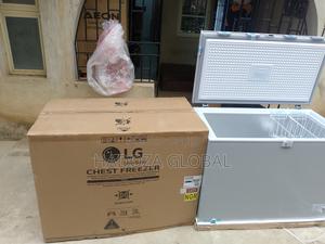Chest Freezer For Businesses & Homes - Lg 280l Capacity for sale ...