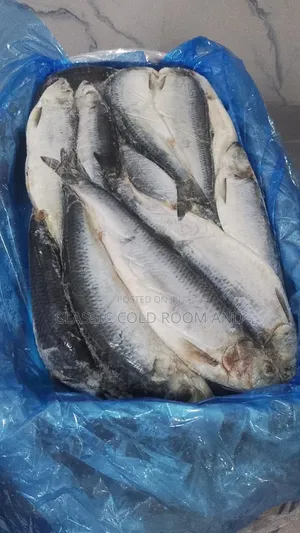 Fresh Fish in Nigeria for sale Prices on Jiji.ng