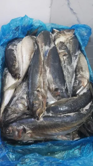 Fresh Fish in Nigeria for sale Prices on Jiji.ng