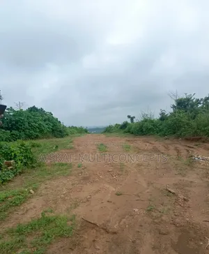 Land & Plots For Sale in Nigeria Prices in June 2026 on Jiji.ng