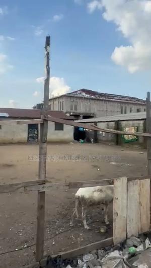 For Sale : Plots at Majestic Estate Nta Road Ph in Port-Harcourt - Land ...