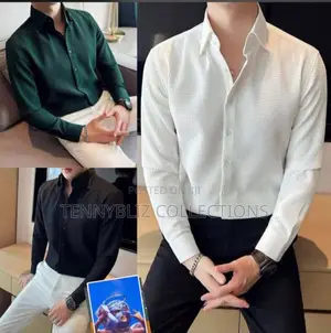 Fine Quality Plain Luxury Turkish Corporate Shirt in Lagos Island (Eko ...