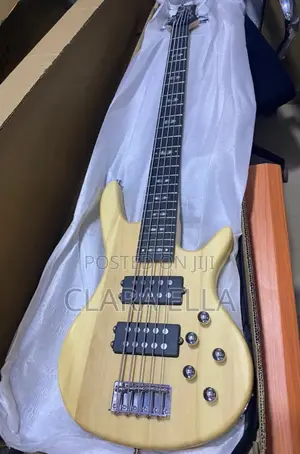 Ibanez 5-String Electric Bass Guitar in Ojo - Musical Instruments ...