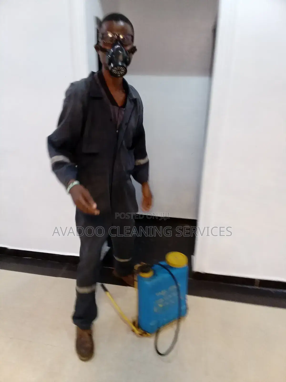 Say Goodbye to Pest With Our Fumigation Pest Control Plans! in Kado - Cleaning Services, Sunday ...