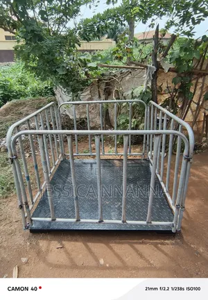 1 Ton Walk-in Scale for All Animals in Oluyole - Farm Machinery ...