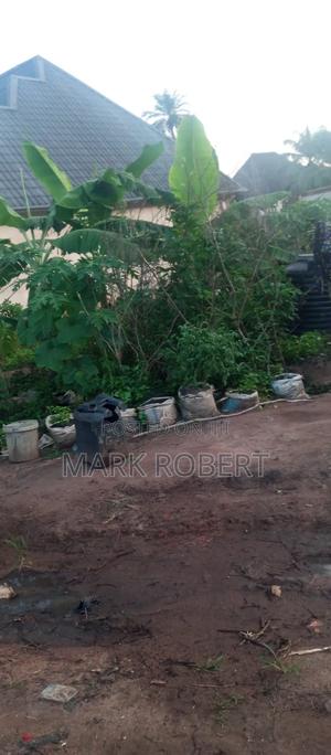 Buy Build Morethan Quarter Plot of Land for Sale at Agbala in Owerri ...