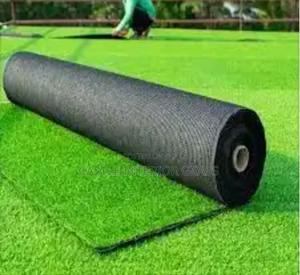Standard Grass Quality in Lagos Island (Eko) - Garden Supplies, Castle ...