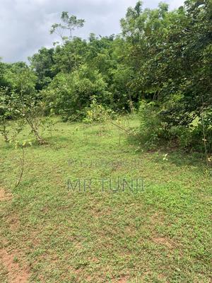 #800,000 Per Acre of Land at Alabata Abeokuta Ogun State. in Odeda - Land & Plots for Sale, Mr ...