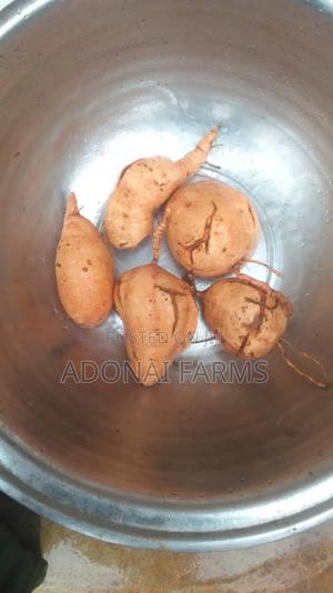 Fresh Organic Orange Potatoes in Lagos Island (Eko) - Food & Beverages ...
