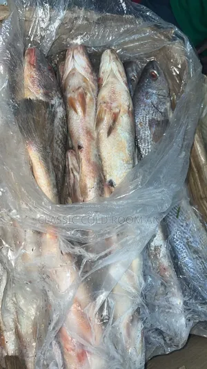 Fresh Fish in Nigeria for sale Prices on Jiji.ng