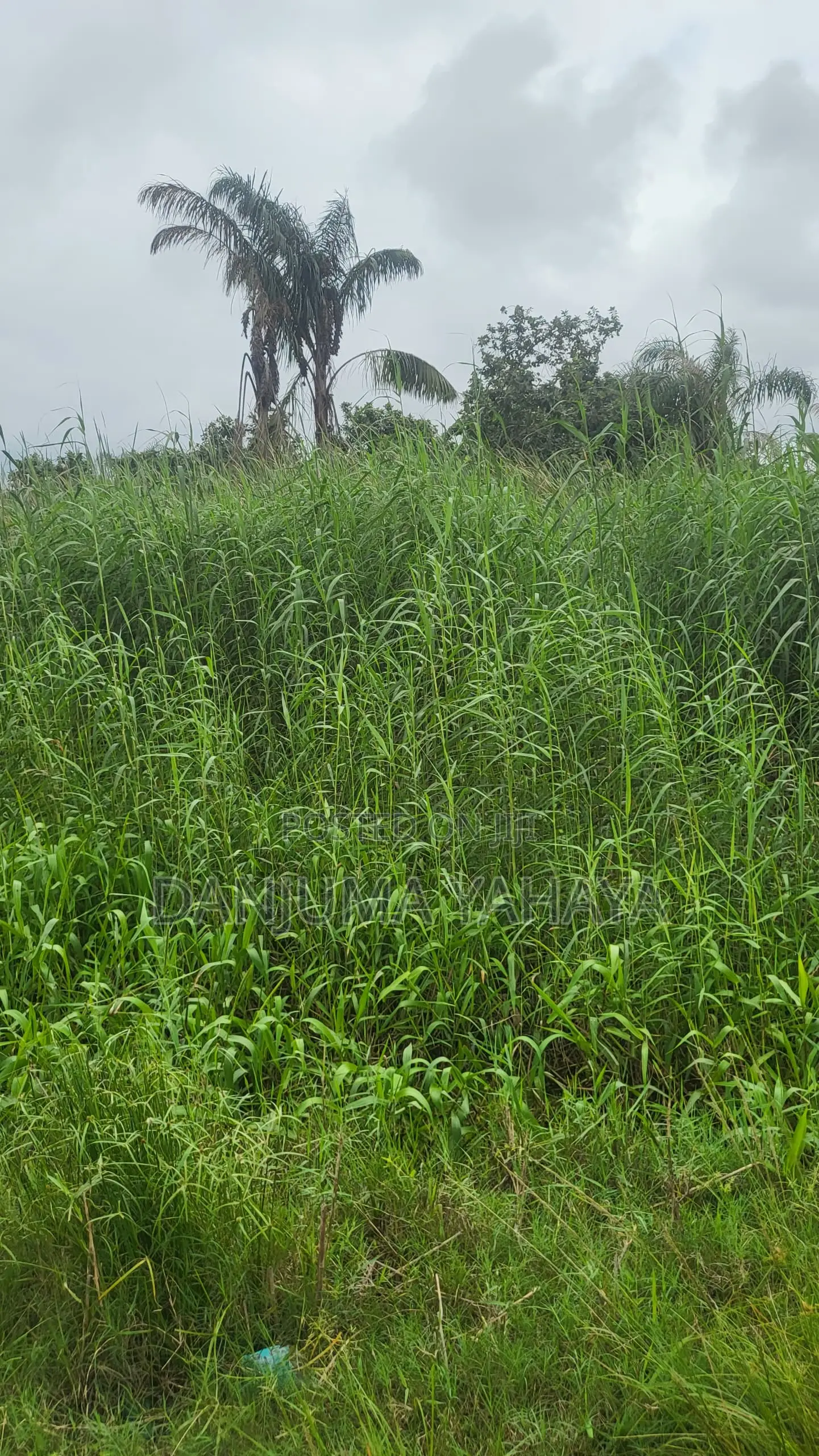 Half Plot of Land Harmony Estate Off Badore Road Oke-Ira in Oke Ira ...