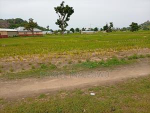 50 by 50 Land for Sale in Bauchi LGA - Land & Plots for Sale, Daniel ...