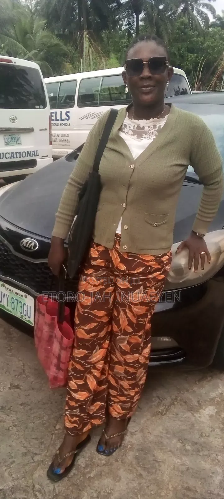 Sustainable in Nsit Ibom - Housekeeping & Cleaning CVs, Etoro-jah ...