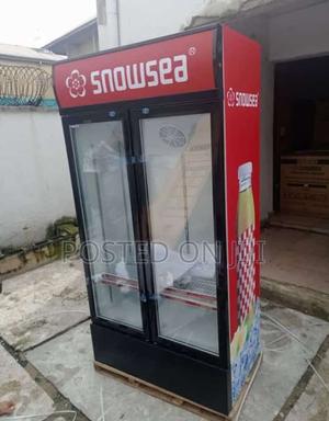 Industrial Snow Sea Double Door Chiller Big Size in Ojo - Kitchen ...