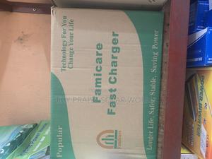 30ah Femi Are Battery Charger 12,24v in Ojo - Solar Energy, Chibest And ...