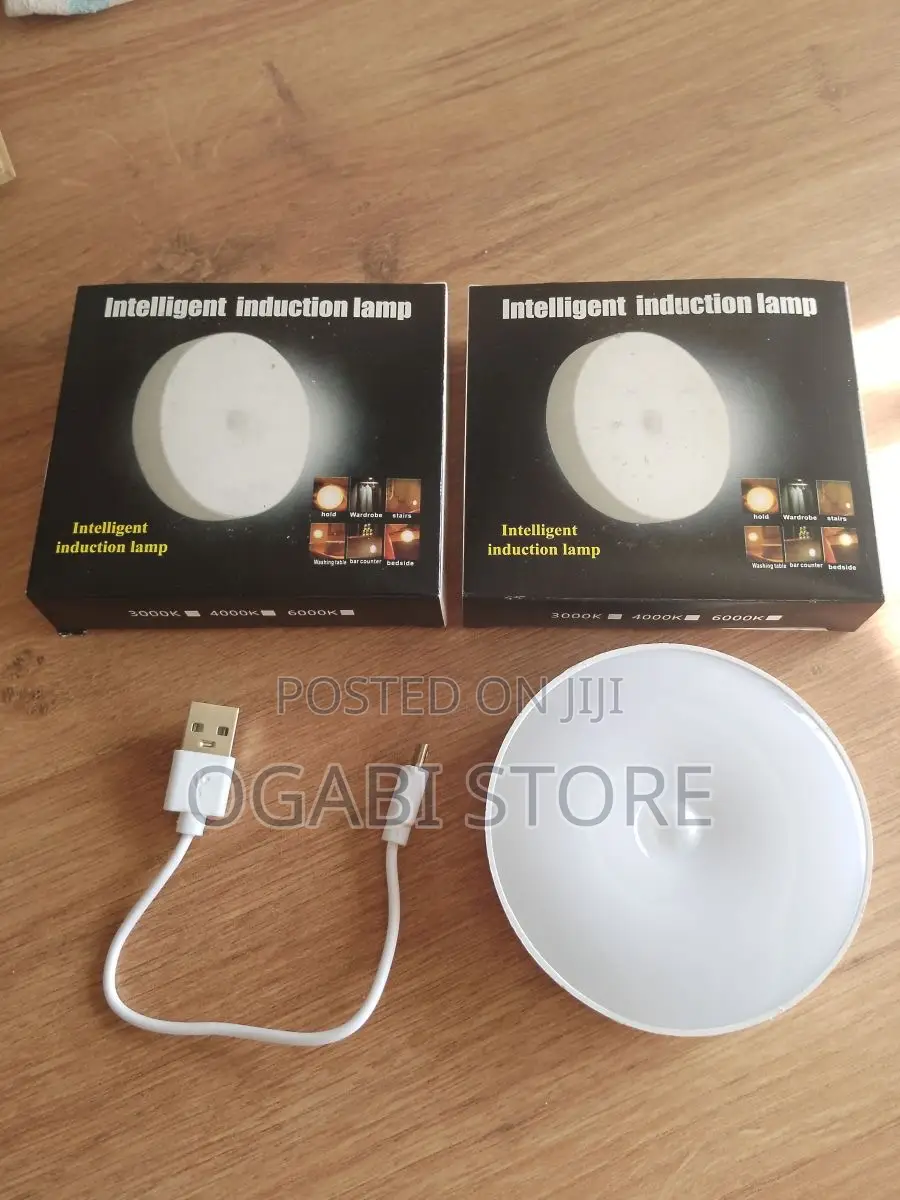 Intelligent Induction Lamp in Lagos Island (Eko) - Lighting, Ogabi ...