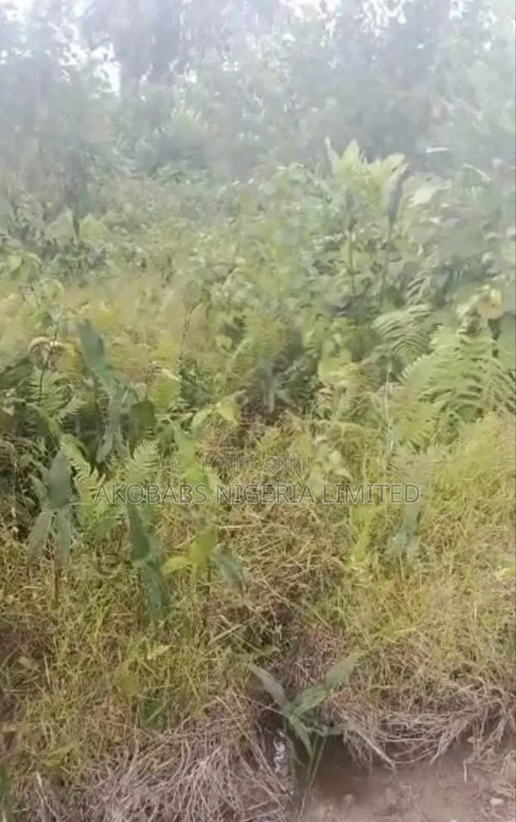A Plot of Land for Sale in Igbe Kapo in Igbogbo - Land & Plots for Sale ...