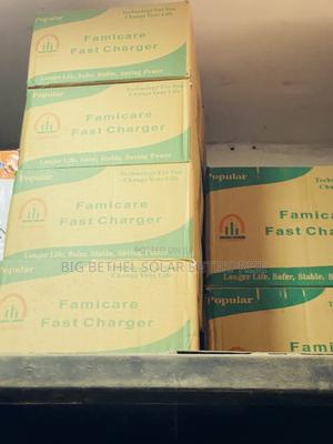 Famicare Solar Battery Charger 30ah Eletricfier for sale - Big Bethel ...