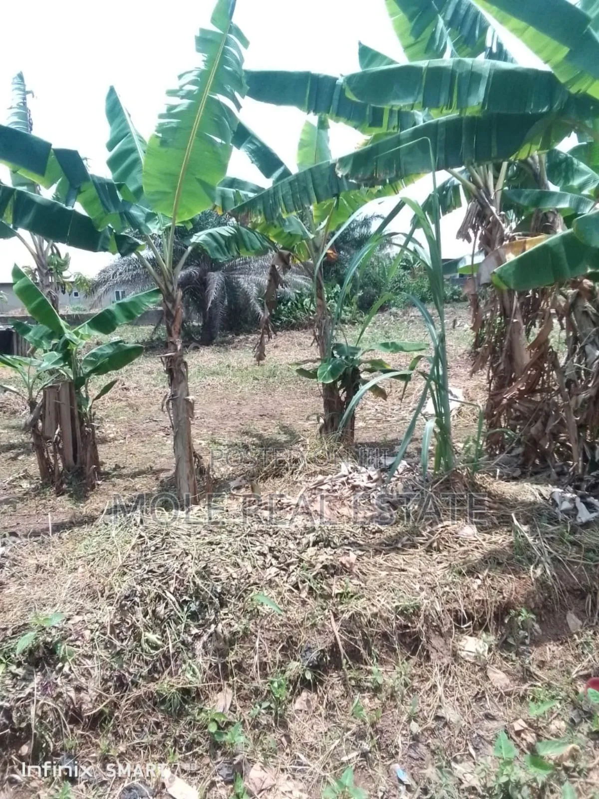 2 Plots of Land Akenson Near Iguando With Foundation for sale - MOLE ...