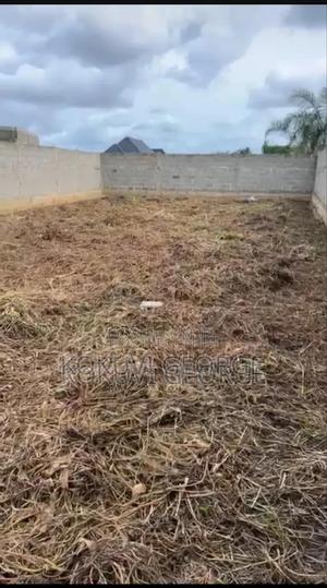 For Sale: A Plot of Land Measuring 317 SQM at Ijedodo, Ijegun in Ijegun ...