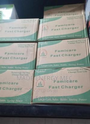 Famicare Battery Charger 30ah for sale - MADE ENERGY MEC Price: ₦ ...