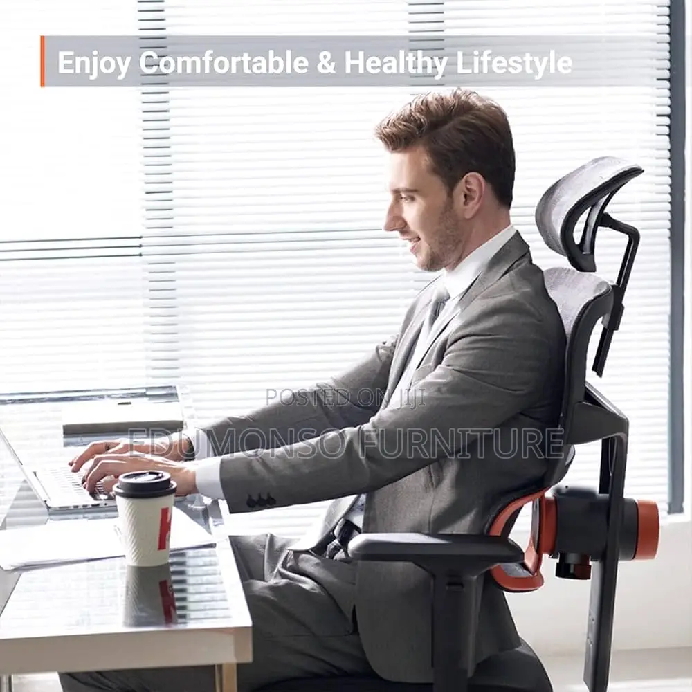Ergonomic Home Desk Office Chair With Adaptive Lumbar Support ...