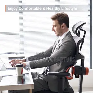 Ergonomic Home Desk Office Chair With Adaptive Lumbar Support ...