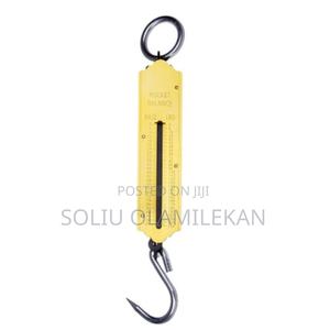 Spring Balance Handheld Scale -100kg in Lagos Island (Eko) - Kitchen ...