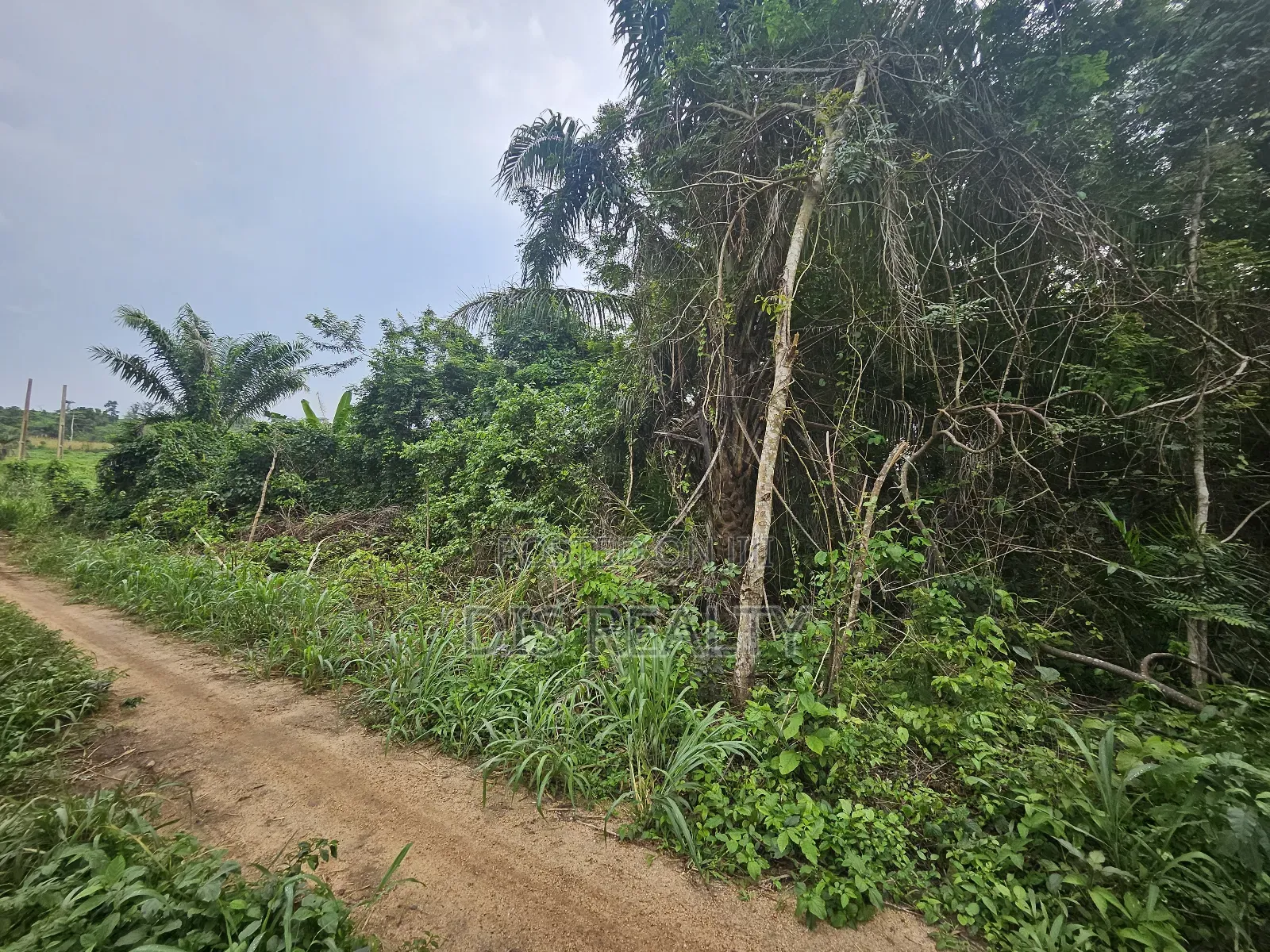 Acres of Farmland at Aberuagba, Obafemi-Owode in Obafemi-Owode - Land ...