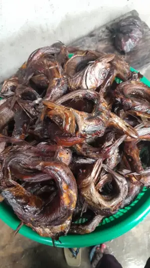 Dried Fresh Fish in Nigeria for sale Prices on Jiji.ng