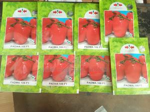 Padma Tomato in Ibadan - Feeds, Supplements & Seeds, Green Collar ...