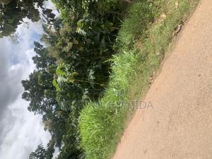 Fenced Round, Full Access by the Tarred Road. in Uyo - Land & Plots for ...