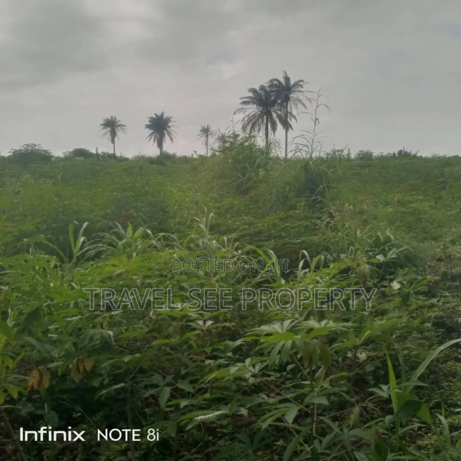 Gazetted Land's Survey Swaps With Vehicle in Epe - Land & Plots for ...