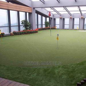 Bethel Artificial Grass/Turf Football Soccer Field in Ikeja ...