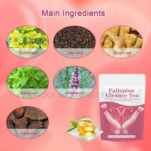 Fallopian Tube Unlocking Tea in Kubwa - Vitamins & Supplements, Koa ...