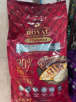 Royal Choice in Agege - Pet Accessories, Somtoo Jeremiah | Jiji.ng